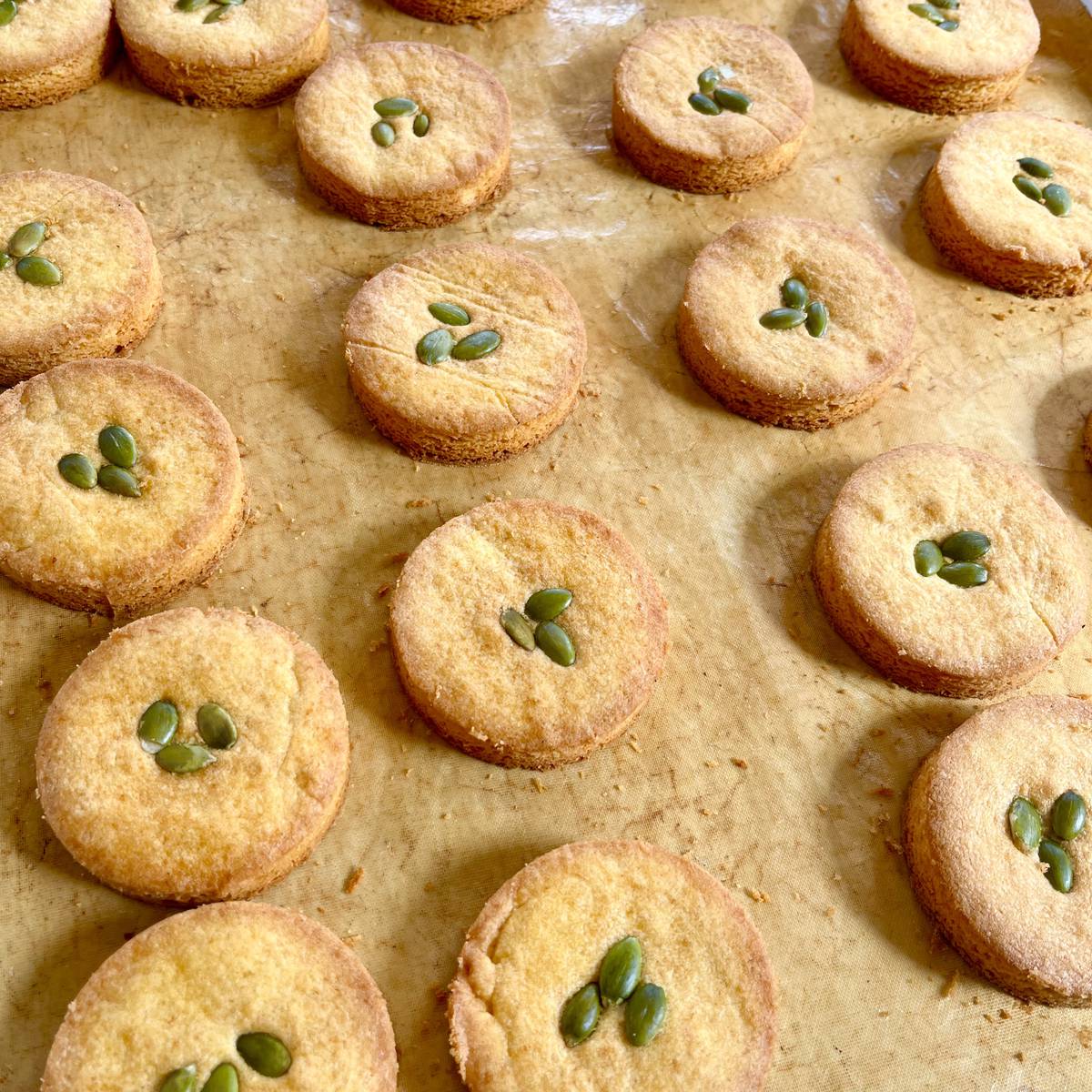 かぼちゃサブレ | つくば市のケーキ屋・洋菓子ならアランマリー